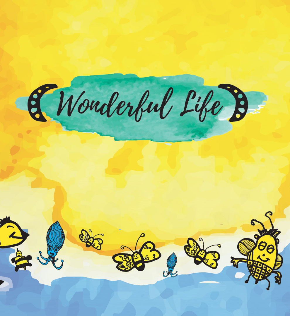 Wonderful life Wonderful life